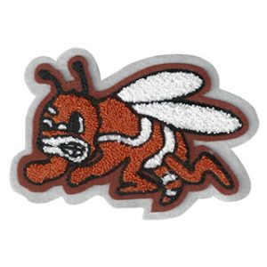 Alvin High School - Yellowjacket - Dilly Letter Jackets